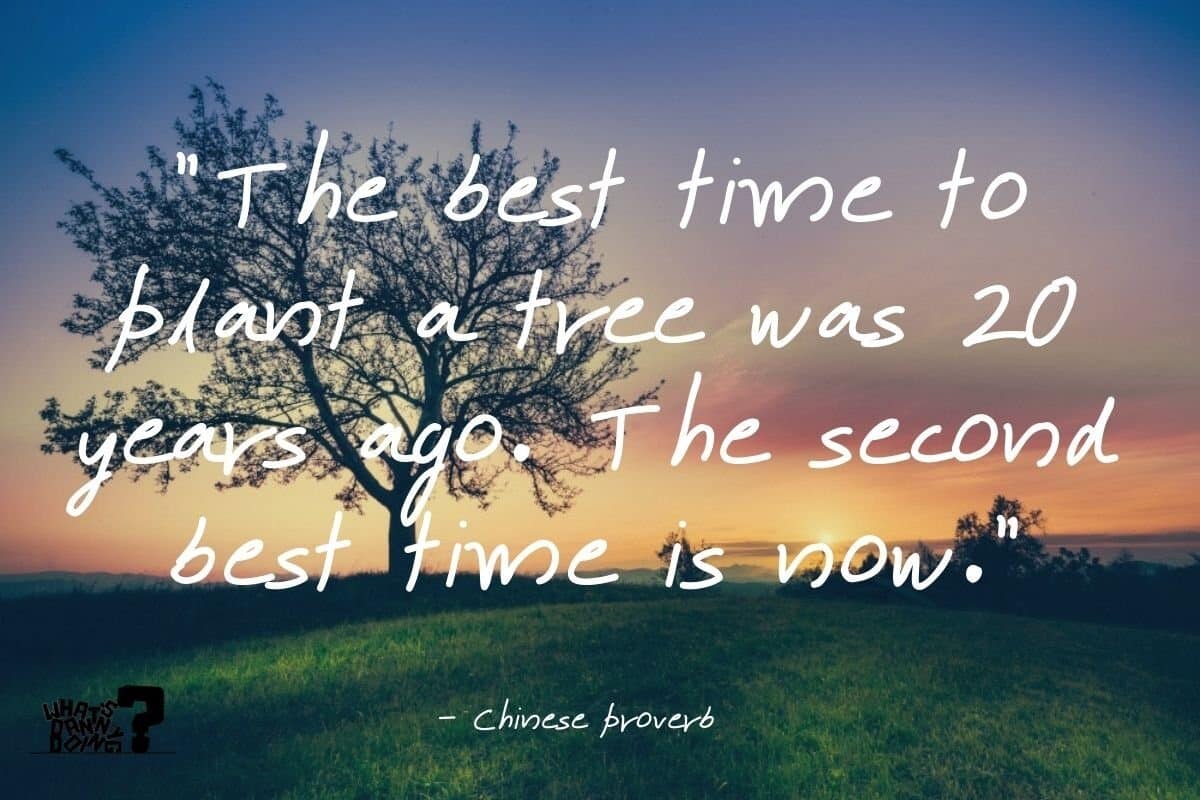 120 Perfect Quotes about Planting Trees [Save the Trees Quotes] - What ...